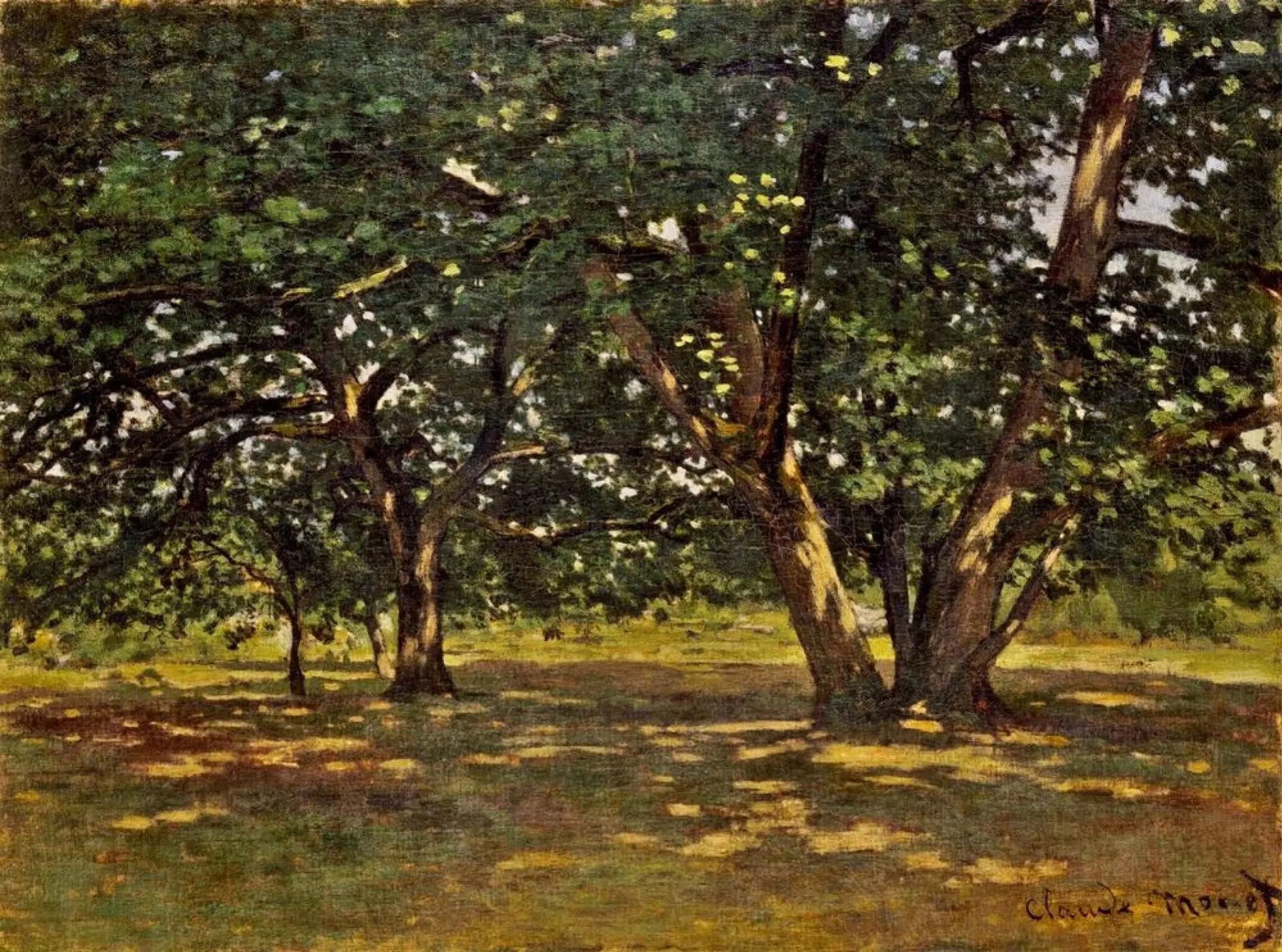 Fontainebleau Forest (1865) Signed Claude Monet - 17" x 22" Fine Art ...
